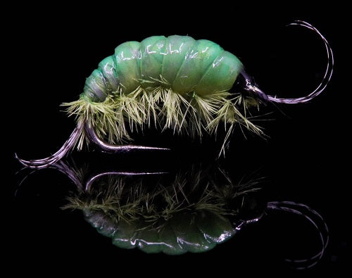 GAMMARUS SCUD — Fly Life Company