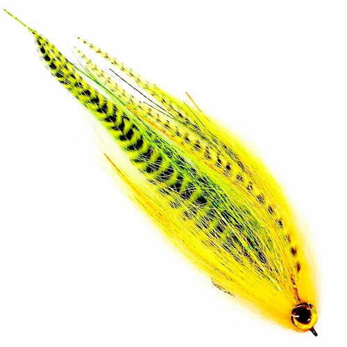 HOLLOW FLEYE - FIRE TIGER — Fly Life Company